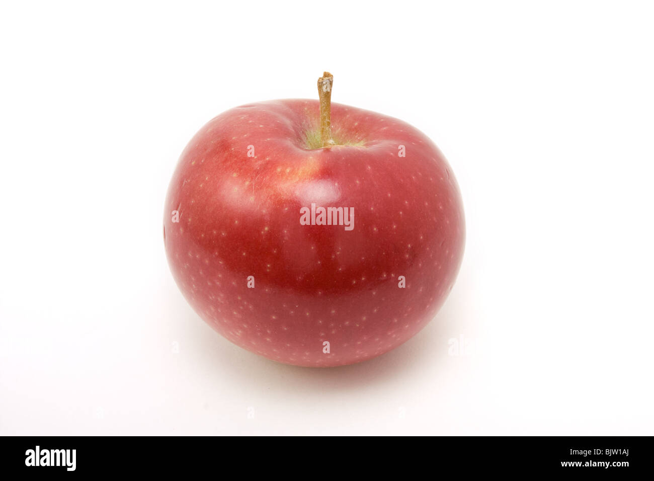 Red macintosh apple from low viewpoint isolated against white ...