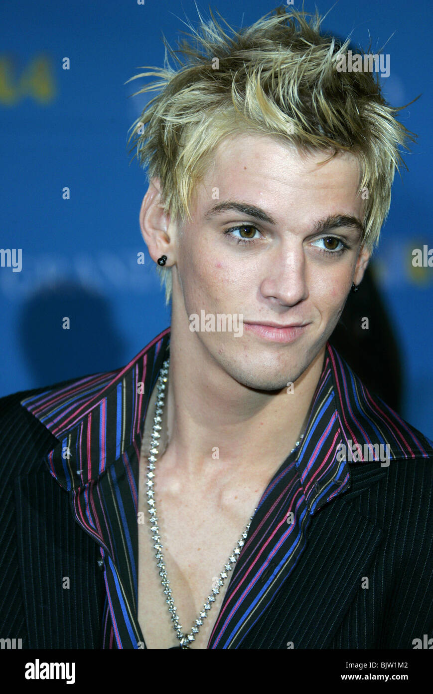 Aaron Carter's Instagram, Twitter & Facebook on IDCrawl