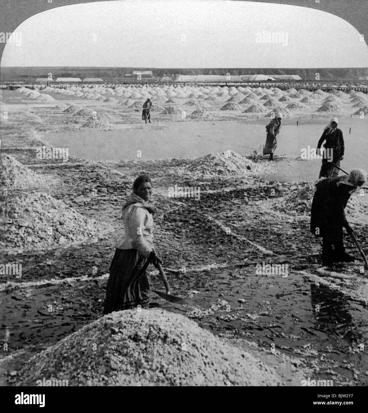 Salt collector hi-res stock photography and images - Alamy