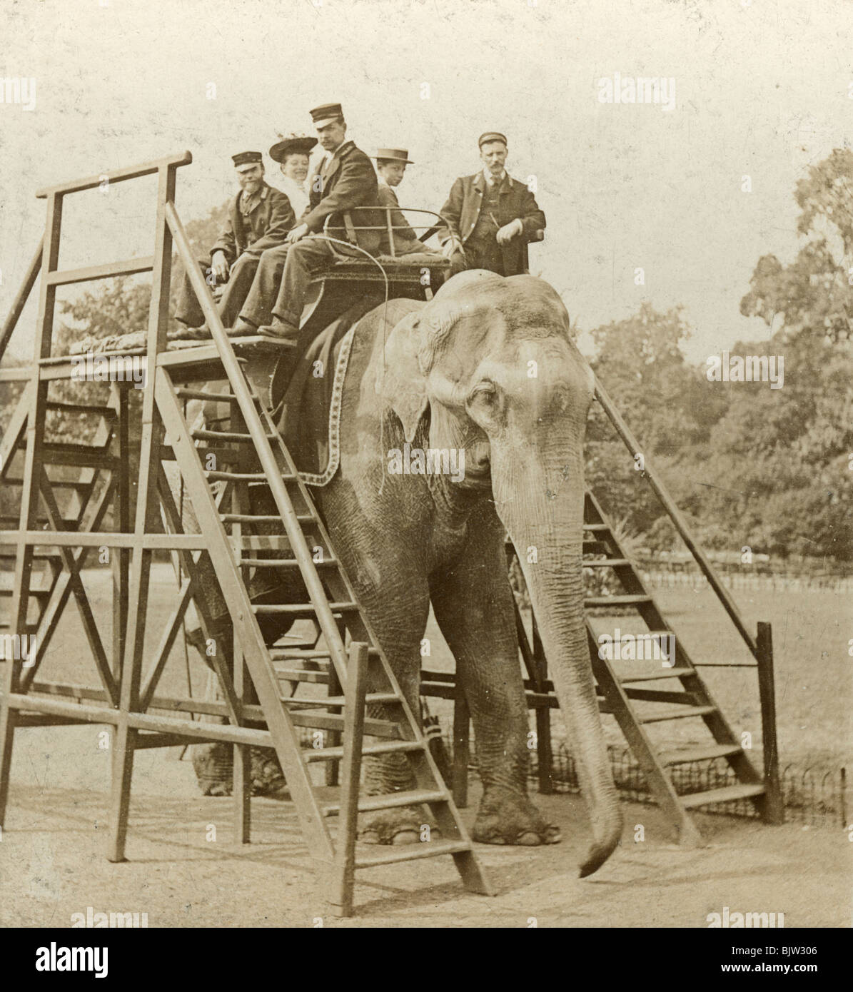 Guy riding an elephant hi-res stock photography and images - Alamy