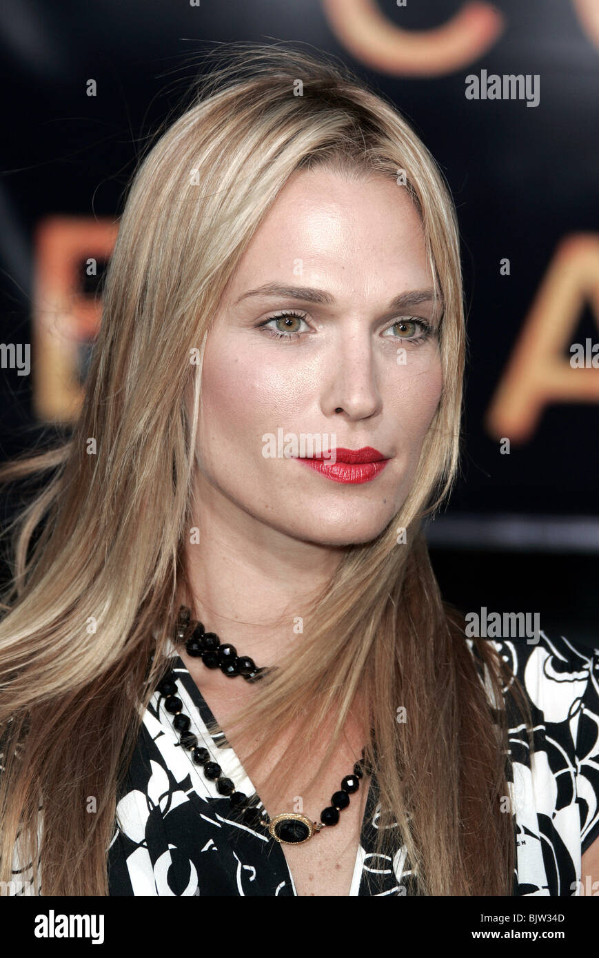 MOLLY SIMS COLLATERAL WORLD FILM PREMIER ORPHEUM THEATRE LOS ANGELES ...