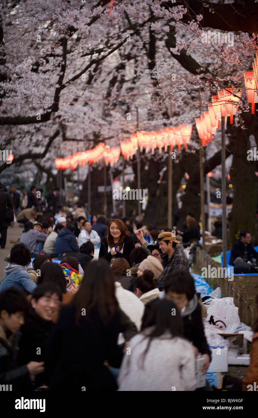 Party under trees hi-res stock photography and images - Alamy