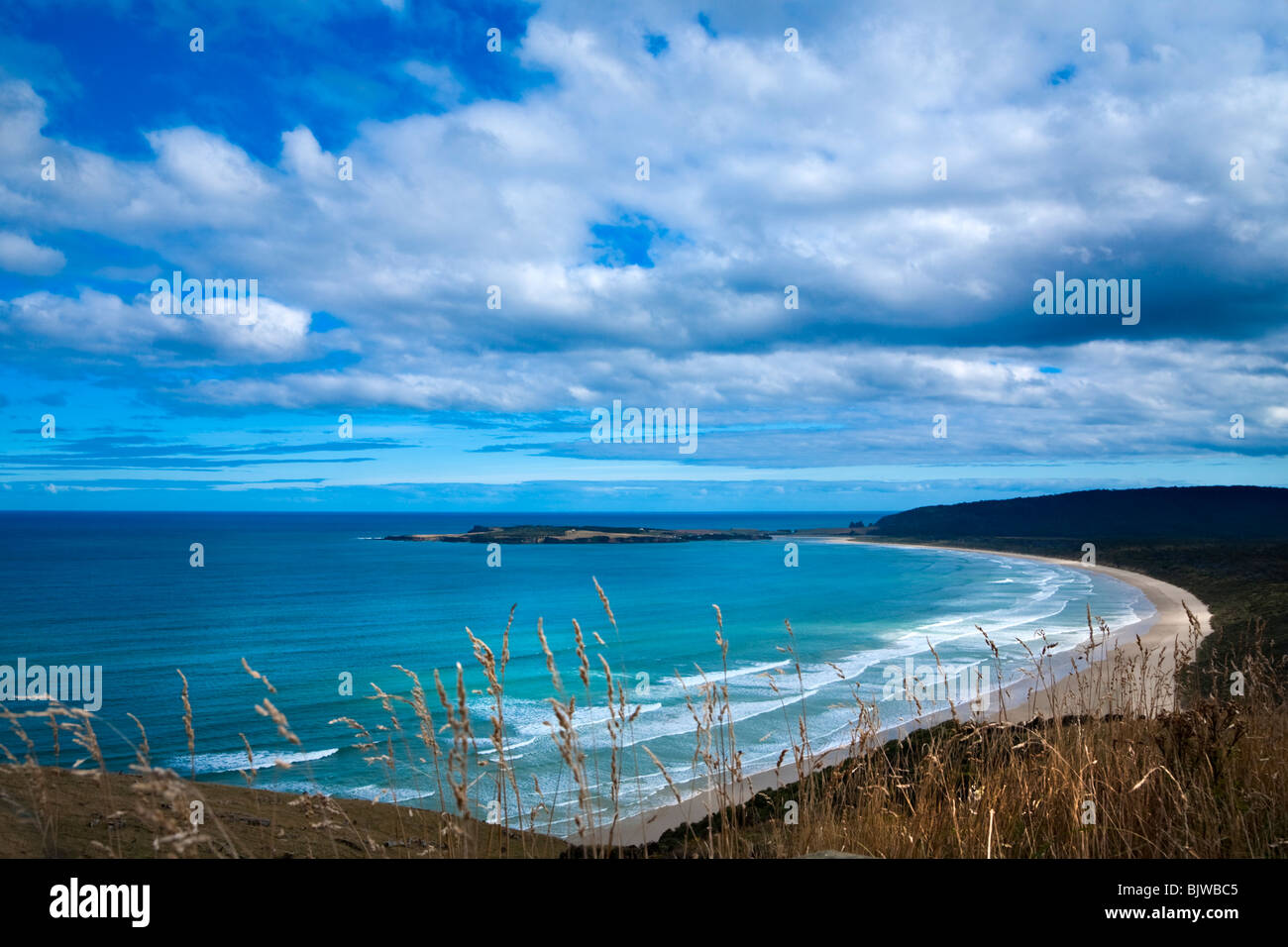 Catlins coast new zealand hi-res stock photography and images - Alamy