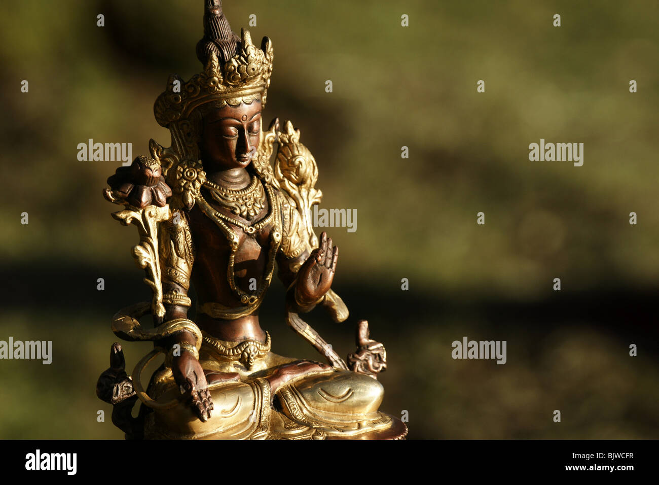 Body of polished brass hi-res stock photography and images - Alamy