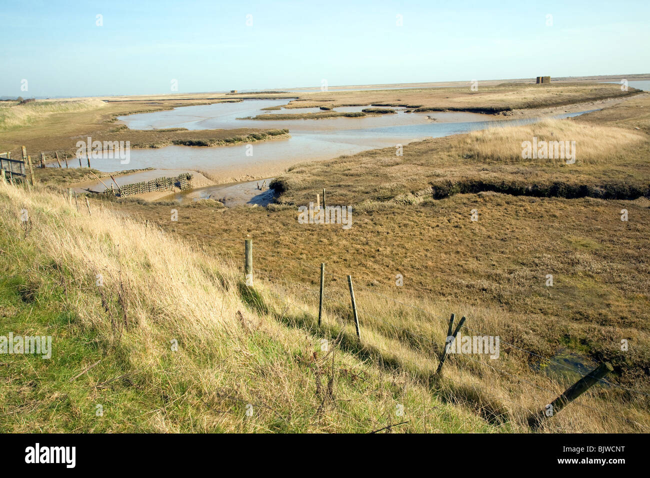 Hollesley marshes hi-res stock photography and images - Alamy