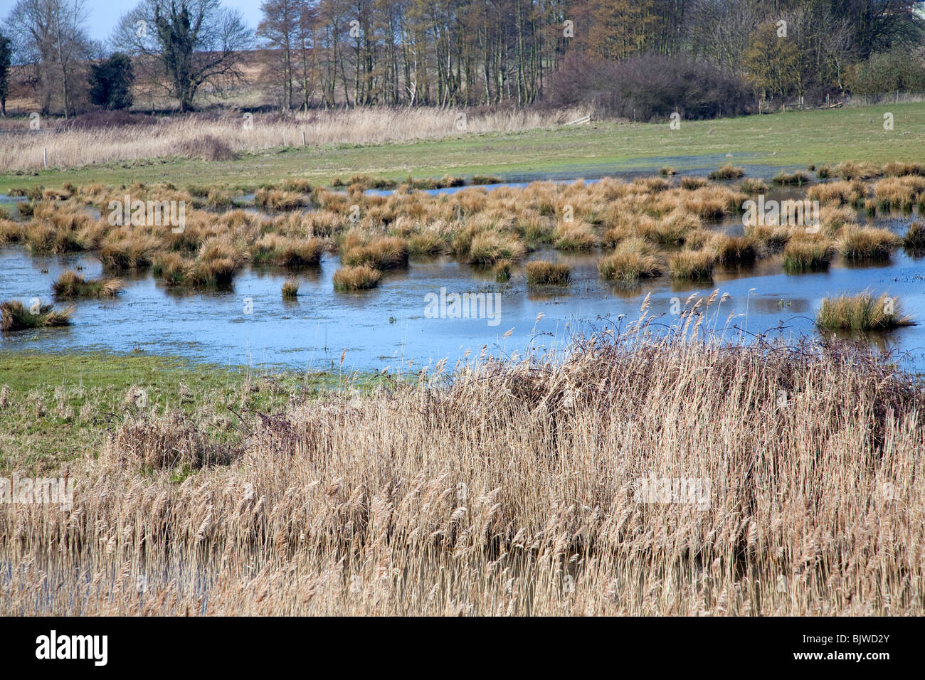 Hollesley marshes hi-res stock photography and images - Alamy