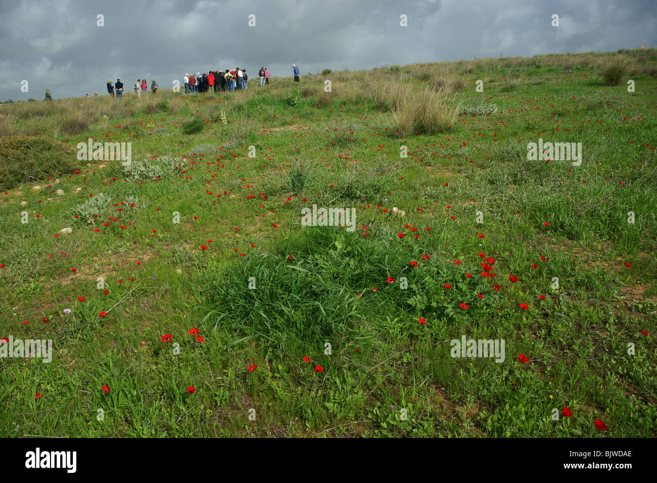 People Enjoy Flower Fields Stock Photo - Alamy