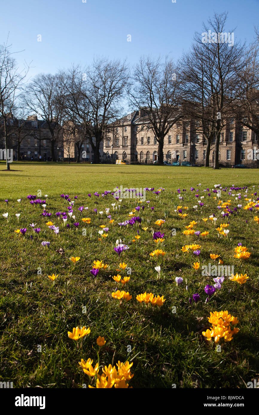 Edinburgh Scotland Charlotte Square High Resolution Stock Photography ...