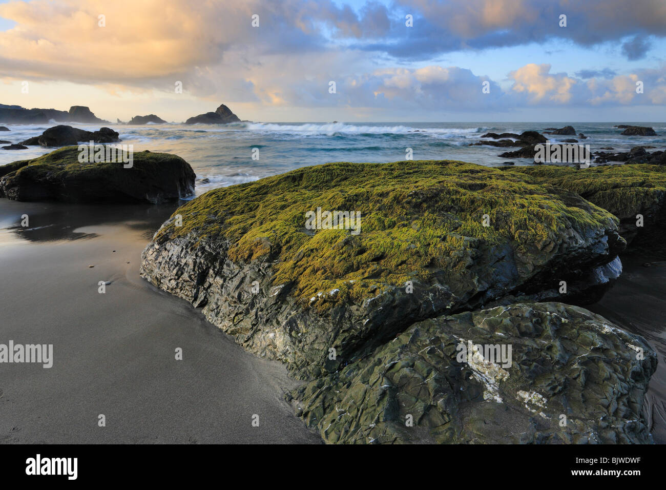 Rocky coastline at Harris State Park beach-Brookings, Oregon,USA Stock ...