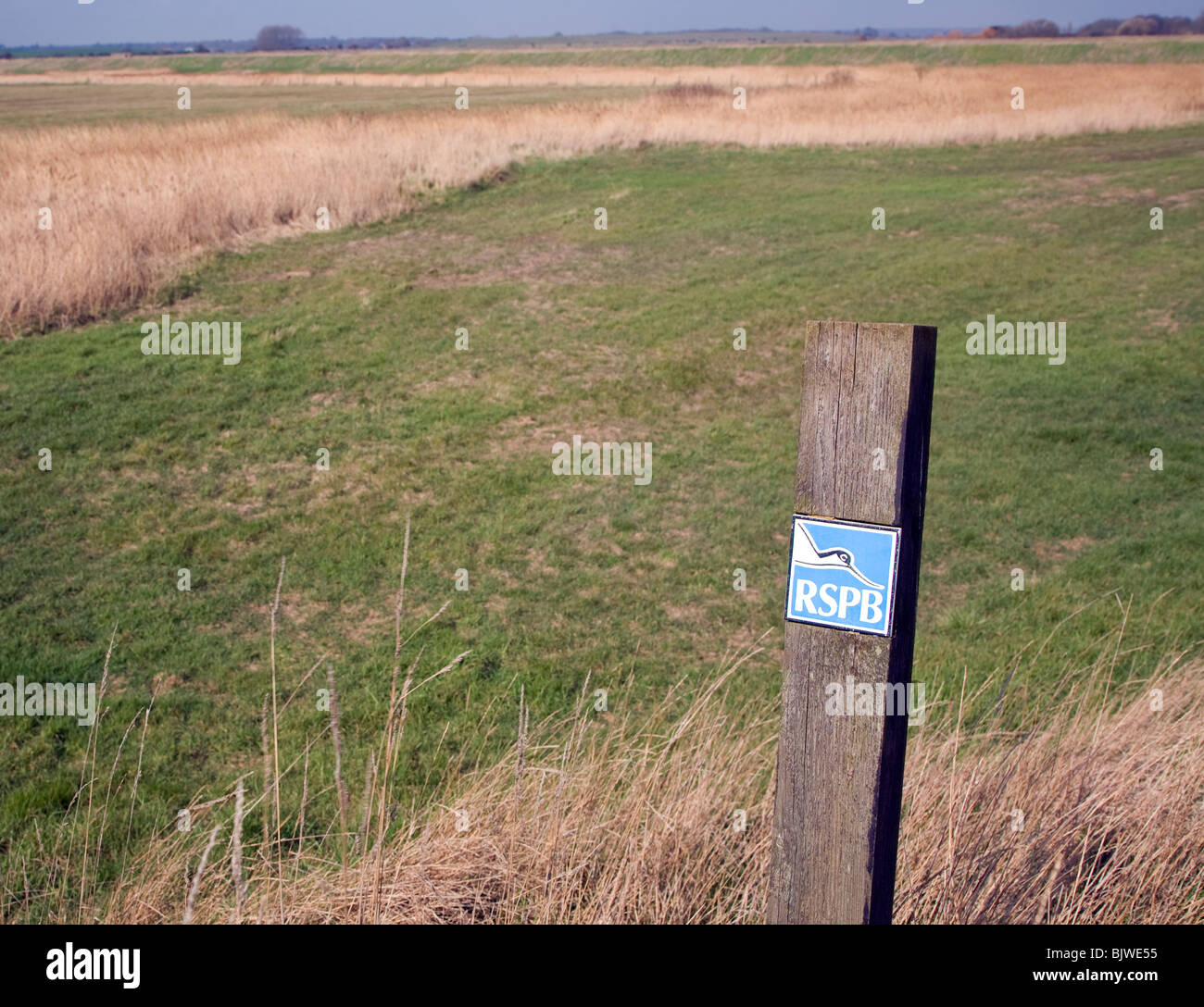 RSPB nature reserve Boyton Marshes Suffolk Stock Photo - Alamy