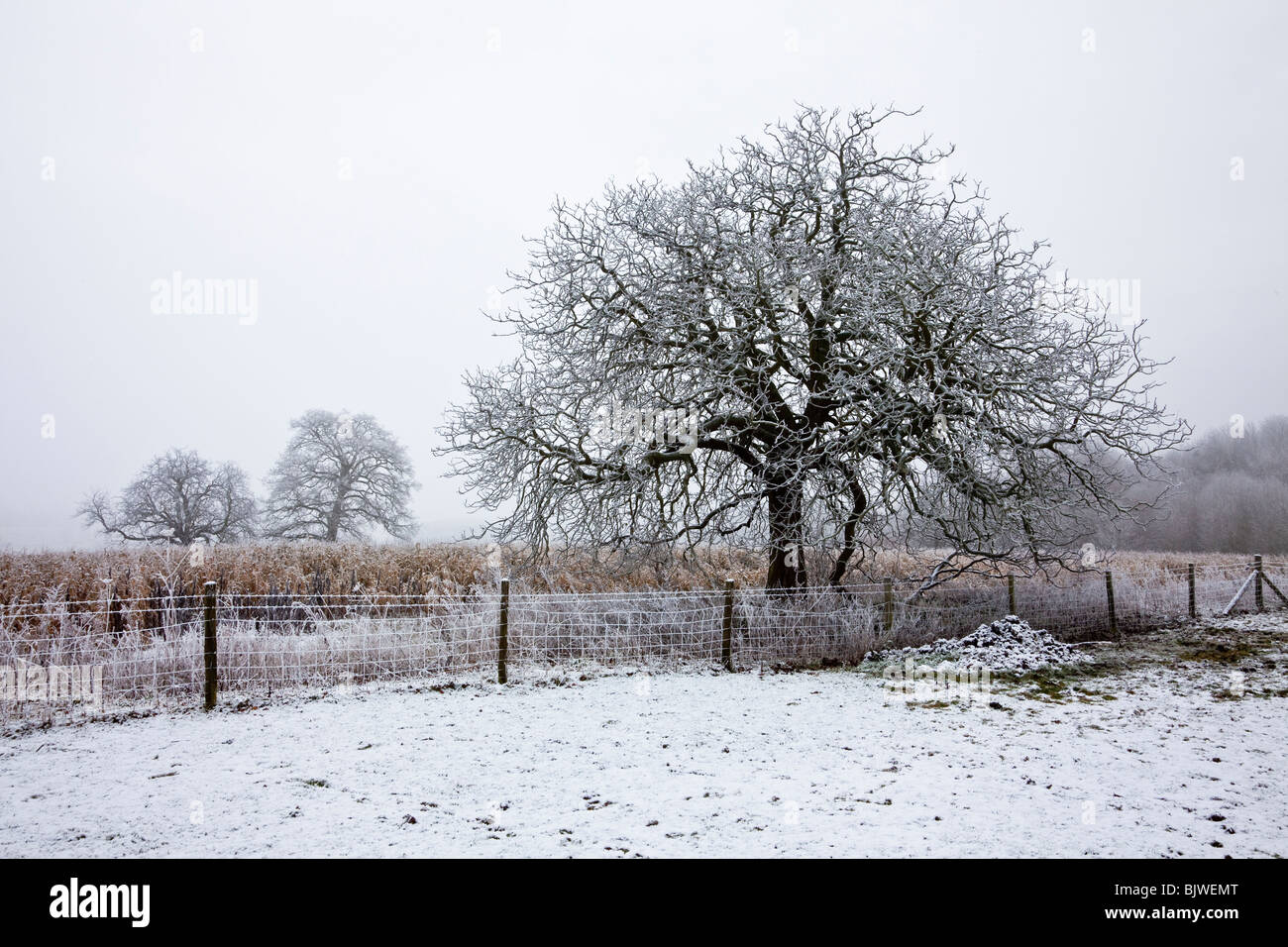 Bletchingdon oxfordshire hi-res stock photography and images - Alamy