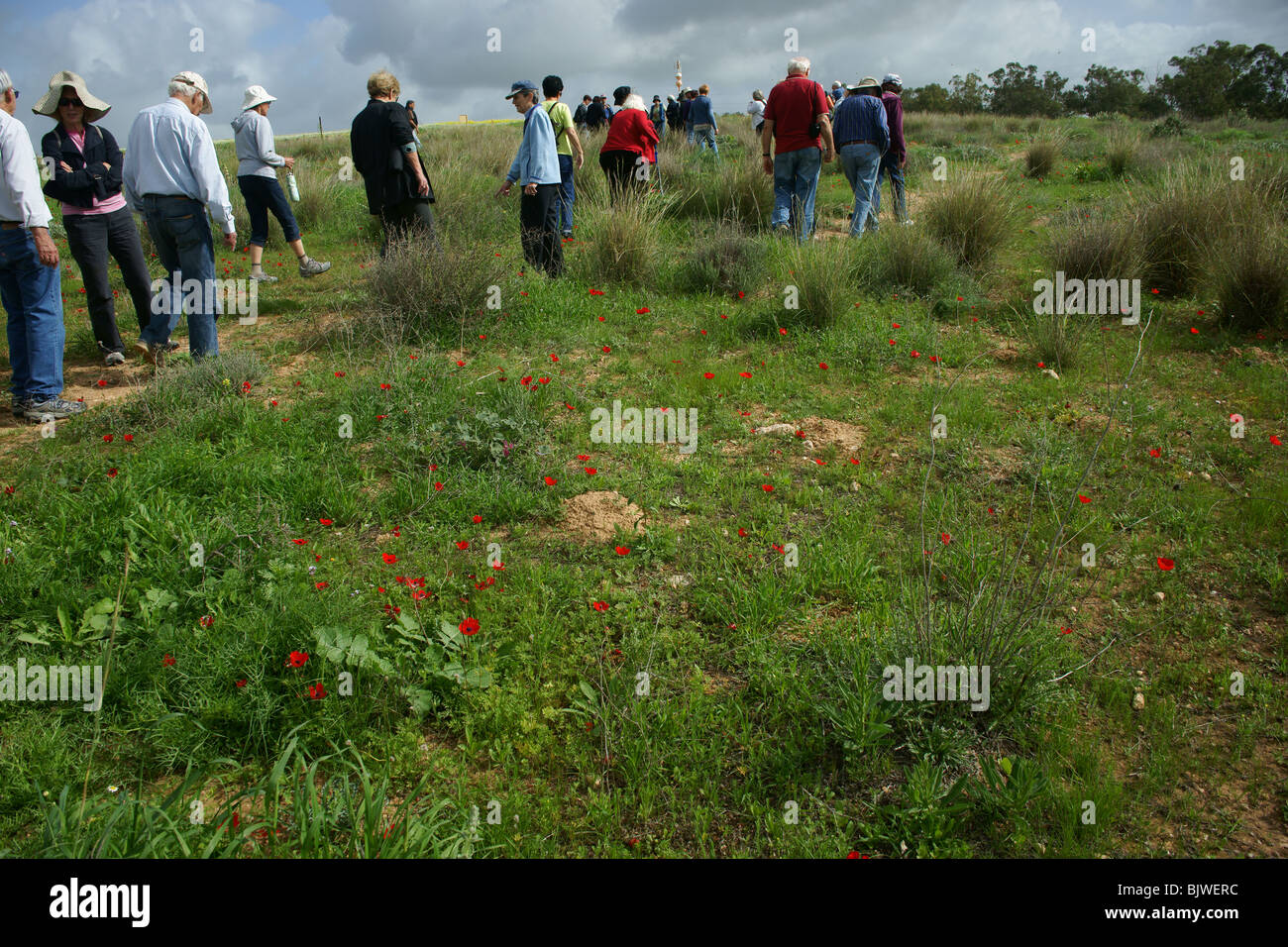 People Enjoy Flower Fields Stock Photo - Alamy