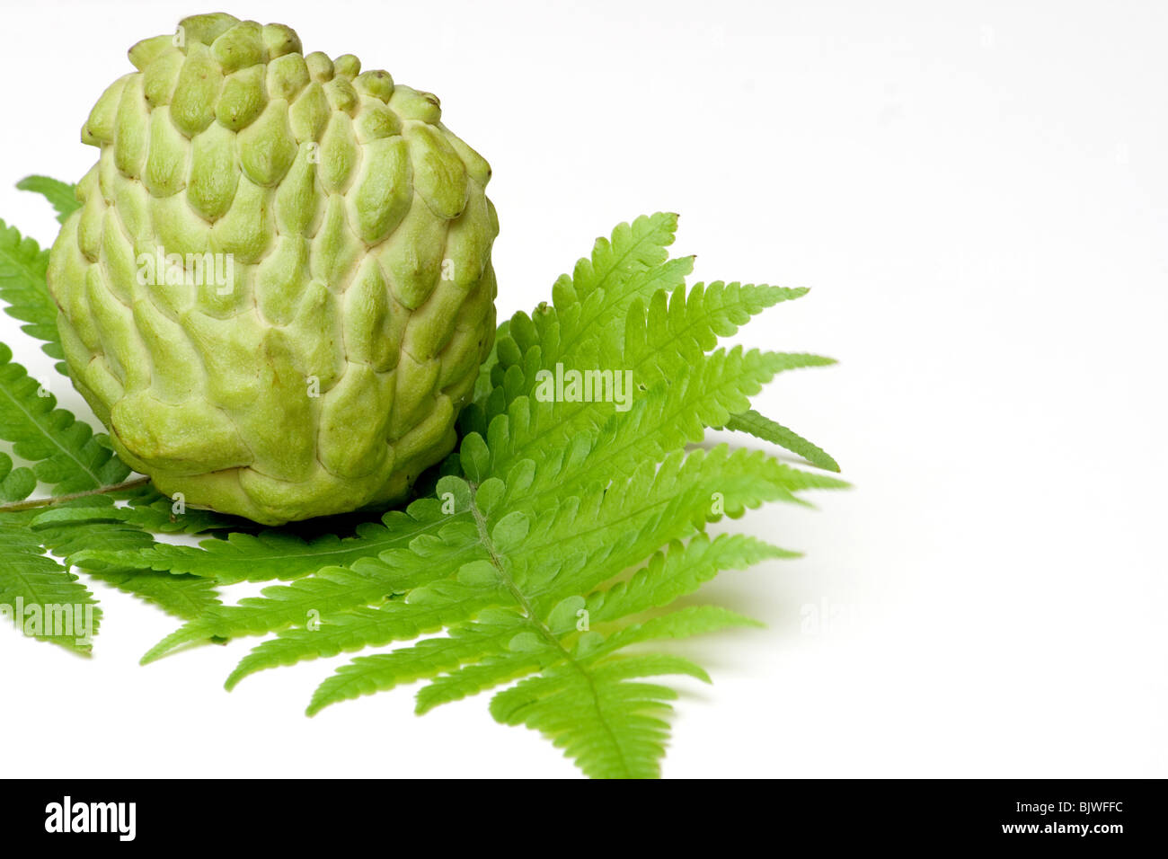 Atemoia hi-res stock photography and images - Alamy