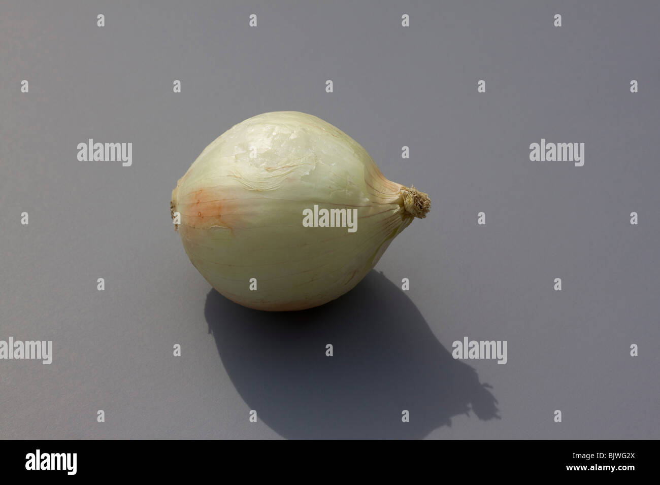 White onion hi-res stock photography and images - Alamy