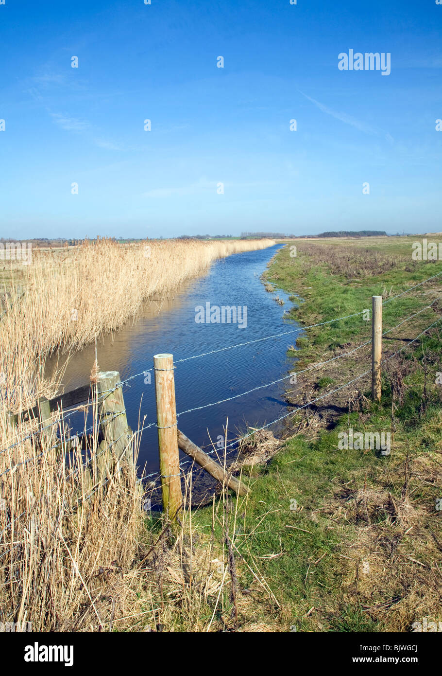 Hollesley marshes hi-res stock photography and images - Alamy