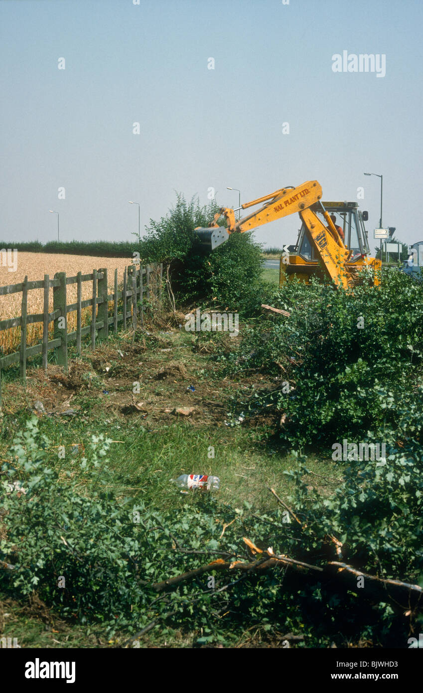 Hedge removal hi-res stock photography and images - Alamy