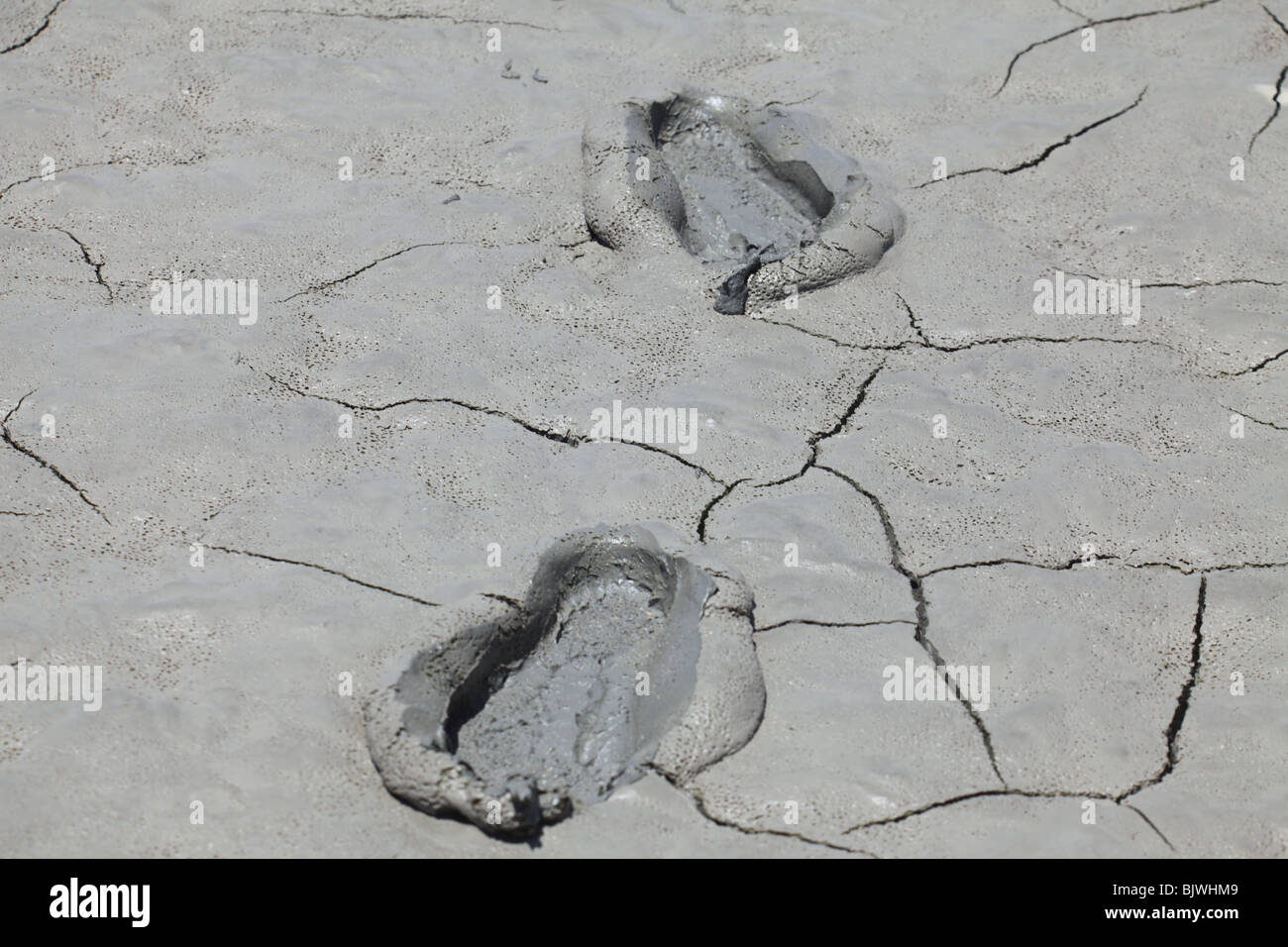 Footprints in mud hi-res stock photography and images - Alamy