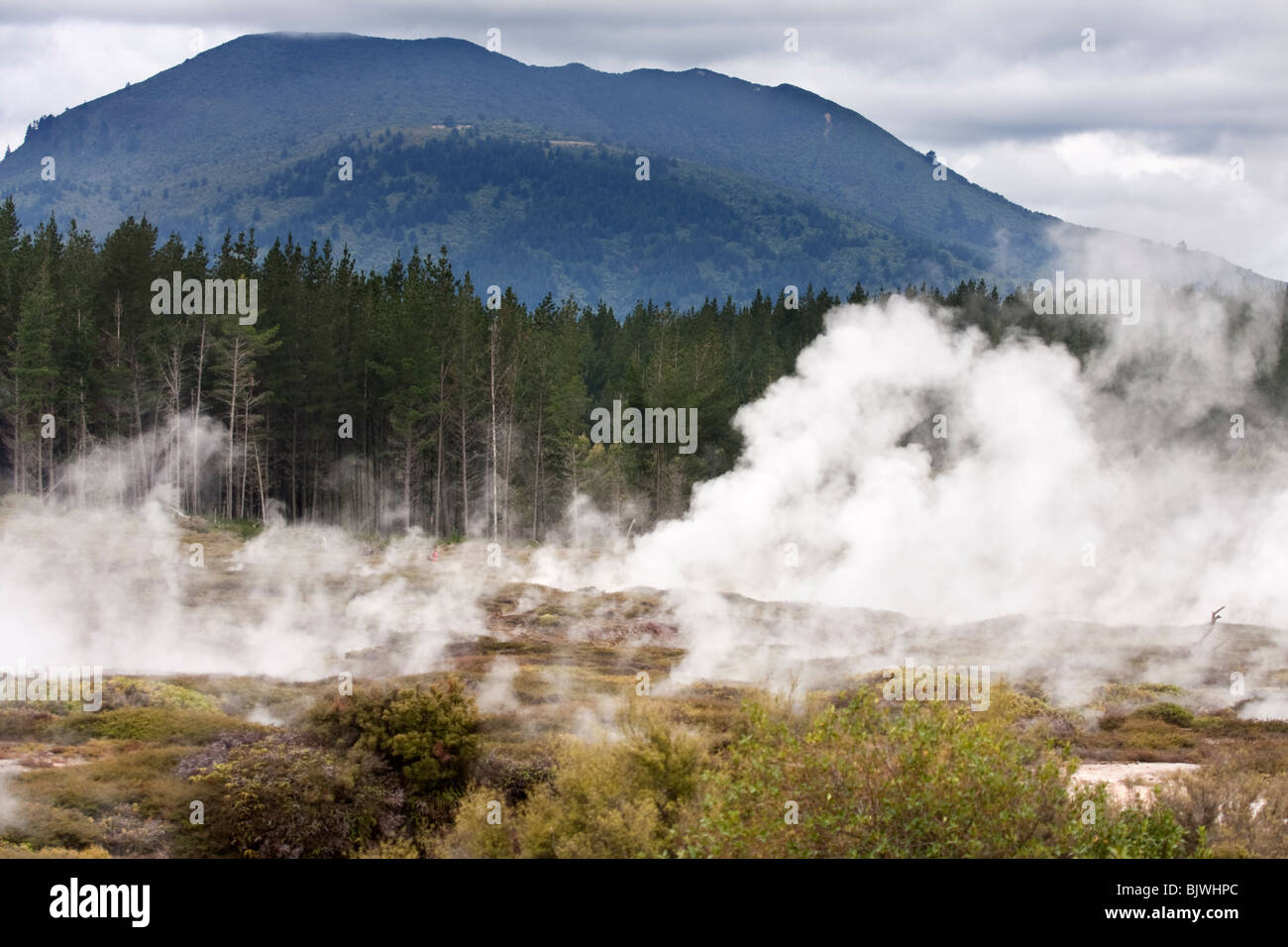 Taupo geothermal new zealand hi-res stock photography and images - Alamy
