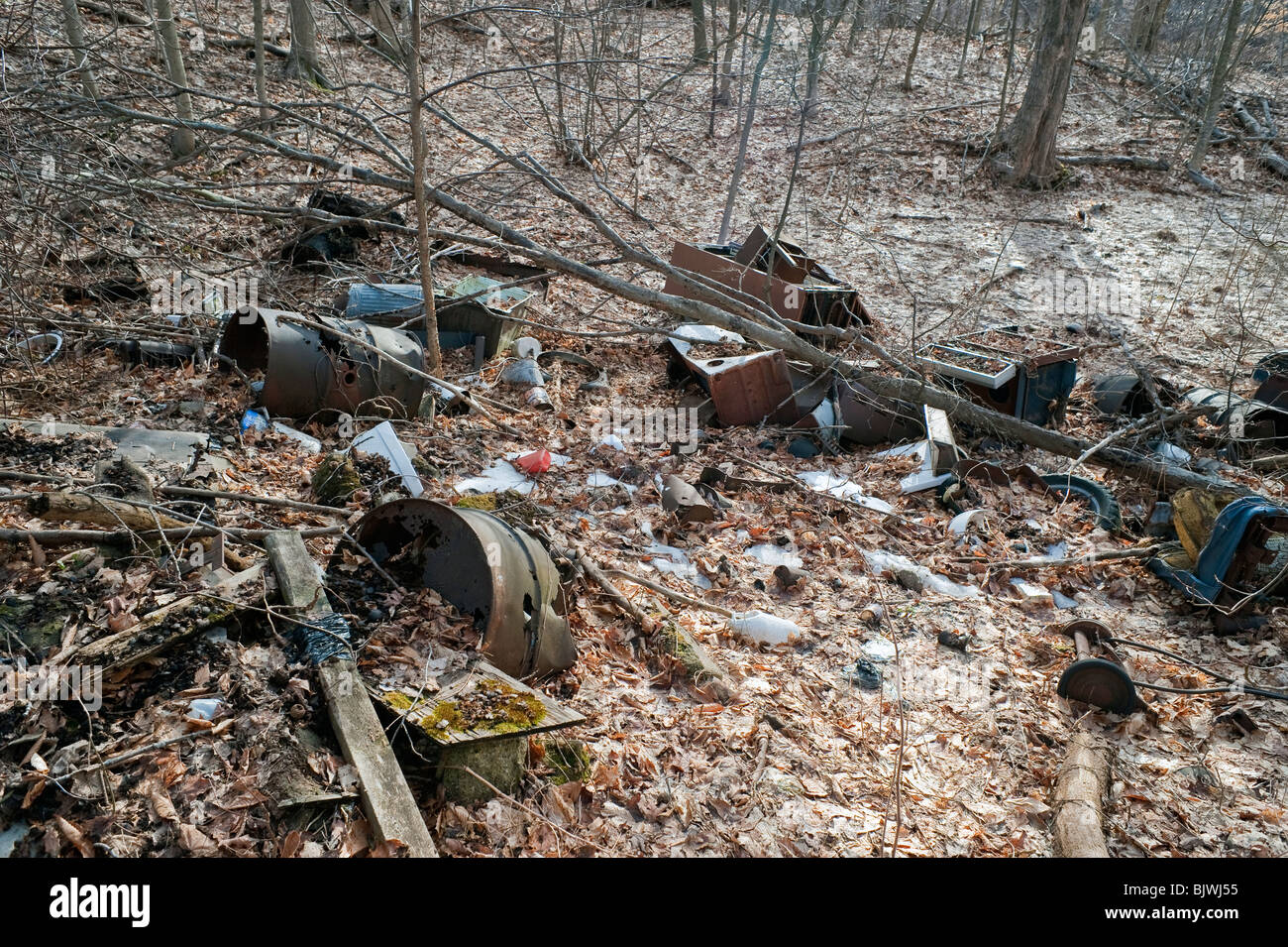 Trash dumped in woods Michigan USA, by Jeff Wickett/Dembinsky Photo ...