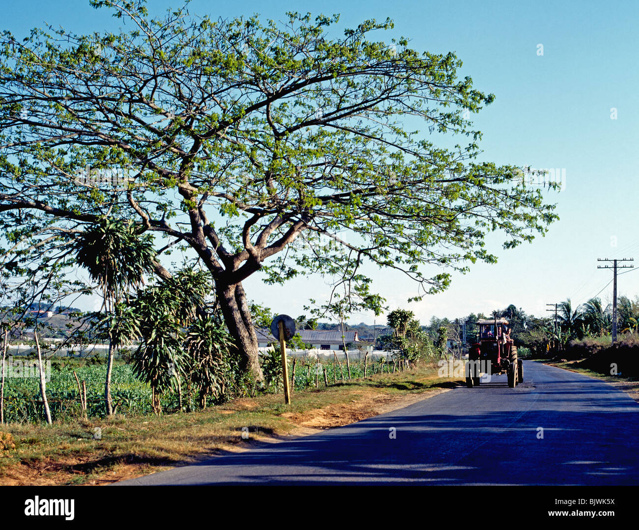 Cuban farming hi-res stock photography and images - Alamy