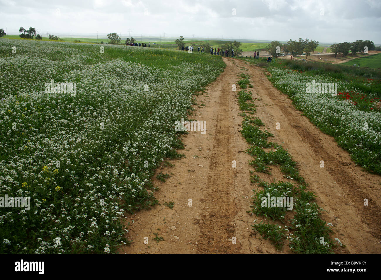 Rural aspect hi-res stock photography and images - Alamy