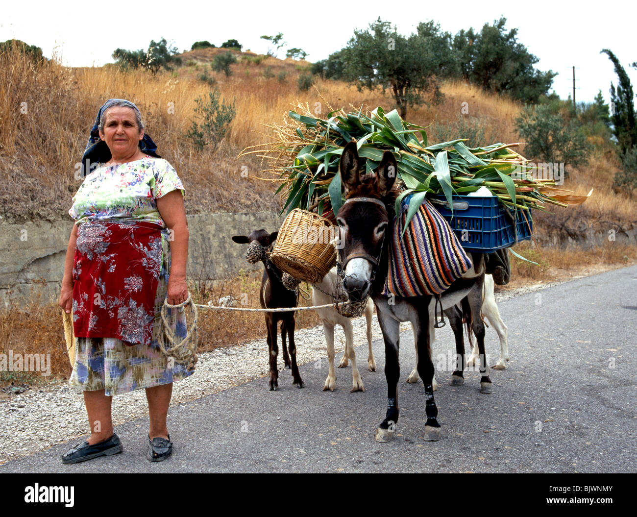 Greek peasant woman hi-res stock photography and images - Alamy