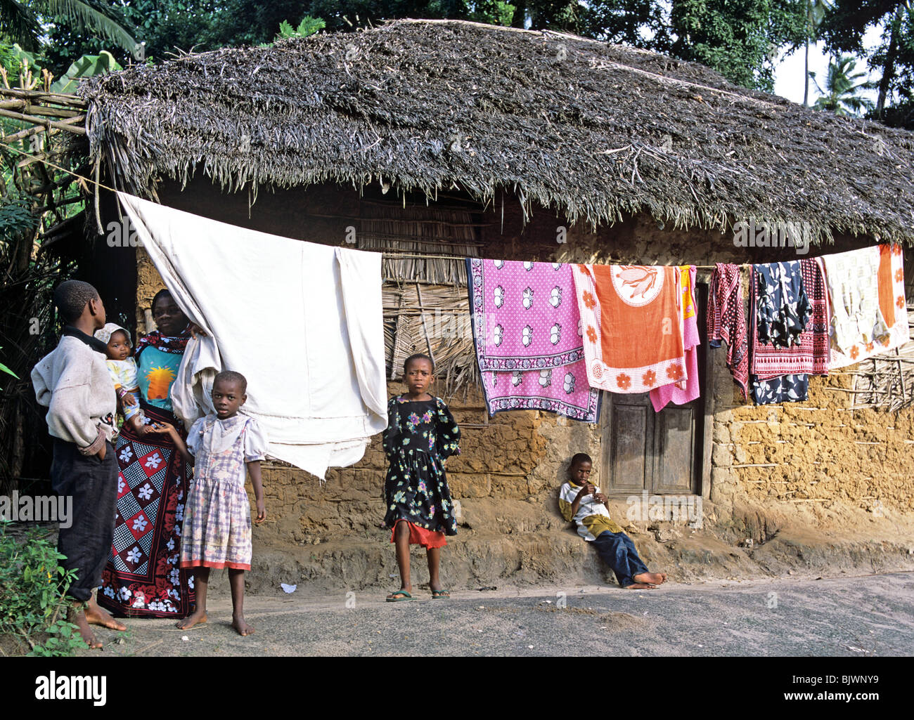 Traditional African House in Tanzania East Africa Stock Photo - Alamy