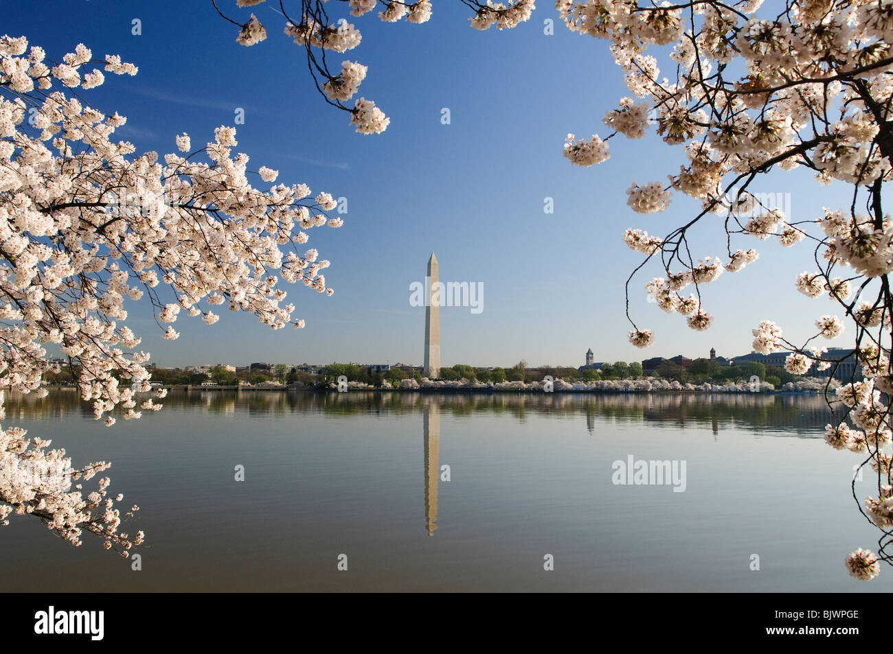 Washington dc spring guide hi-res stock photography and images - Alamy