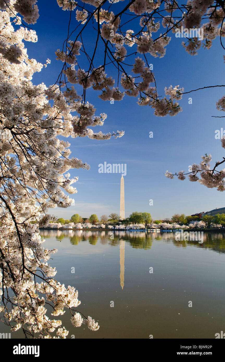WASHINGTON DC, United States — Washington Monument and some of the 3700 ...