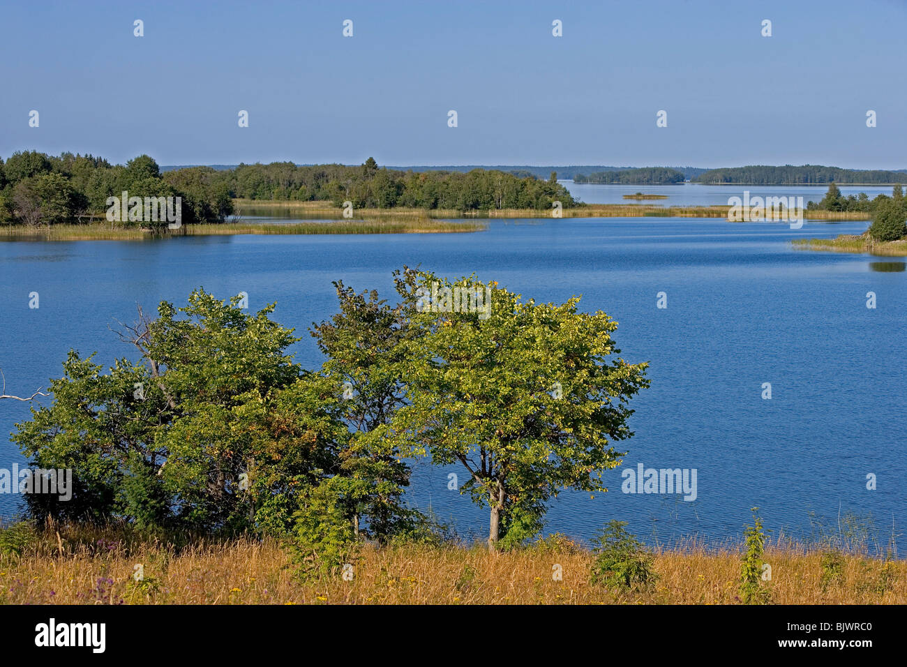 Russia,Karelia Region,Onega lake,Kizhi Island Stock Photo - Alamy