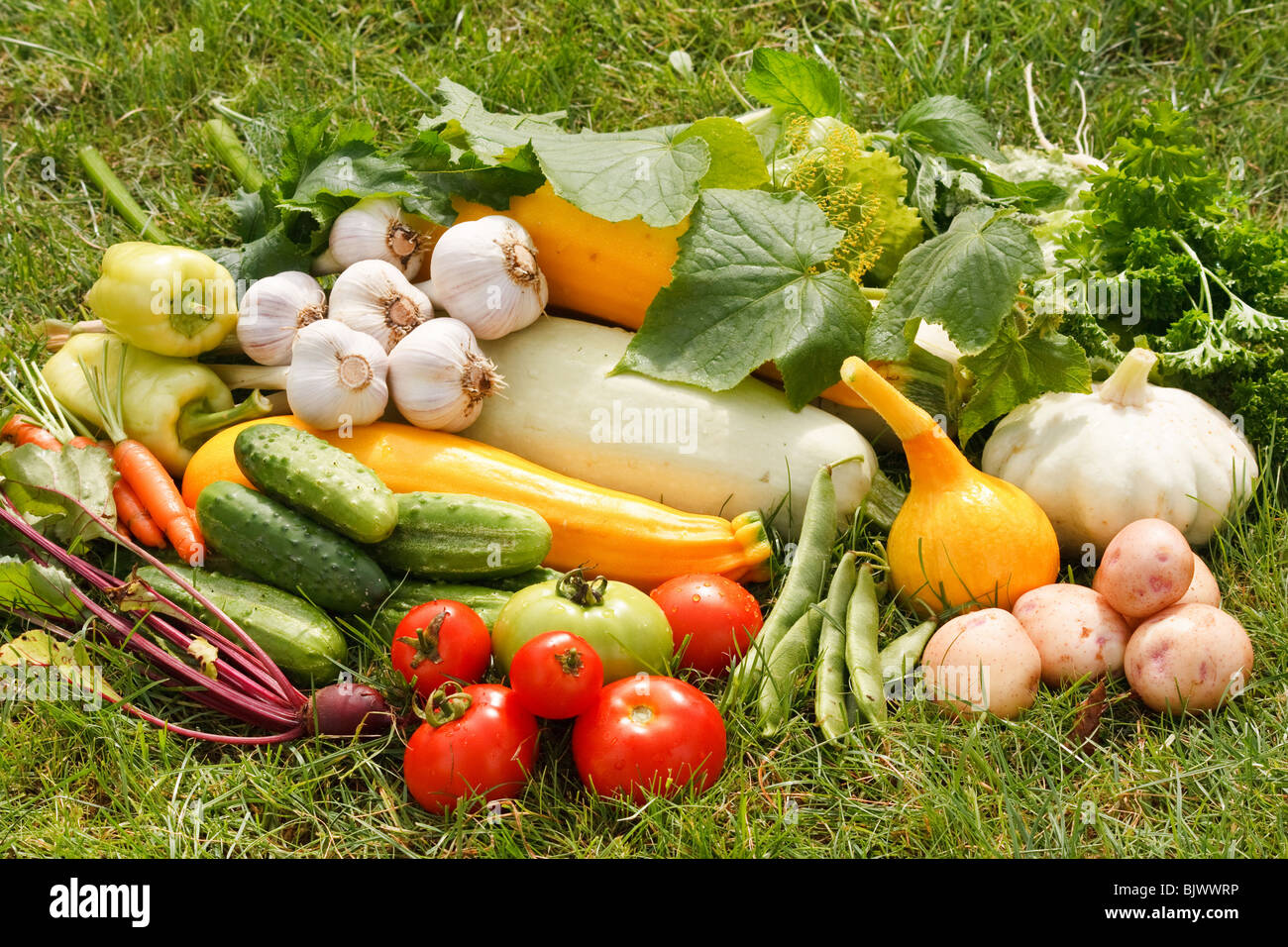 Tomato potato hi-res stock photography and images - Alamy
