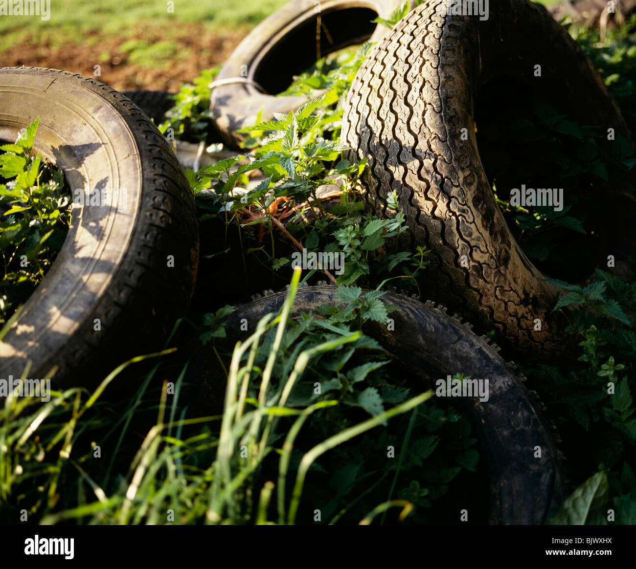 Discarded tires hi-res stock photography and images - Alamy