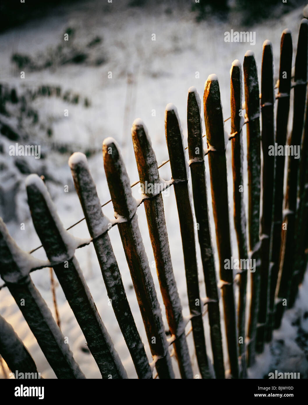 Fence covered by snow Stock Photo - Alamy