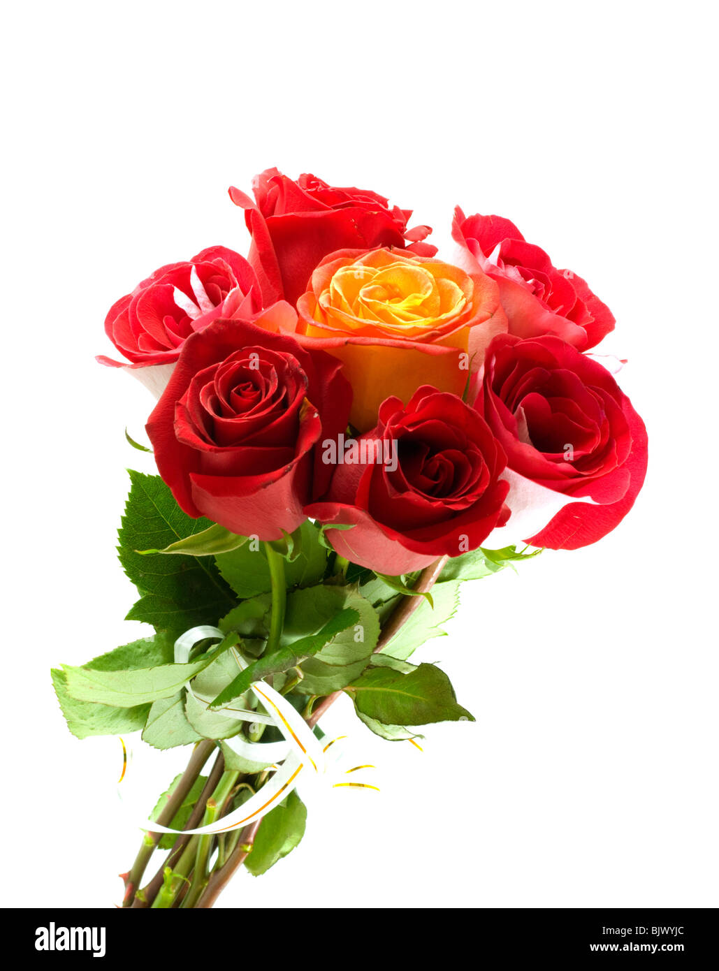 Beautiful red roses Stock Photo - Alamy