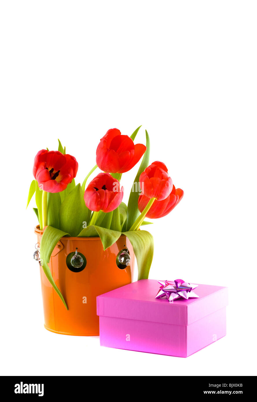 Red white tulips gift box hi-res stock photography and images - Alamy