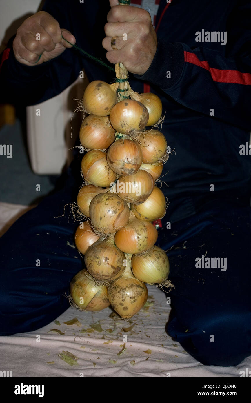 String Of Onions High Resolution Stock Photography and Images - Alamy