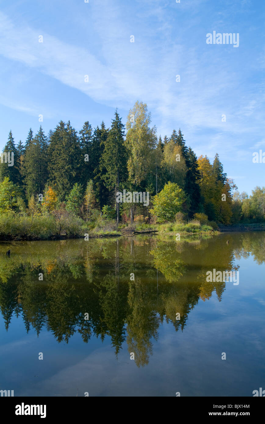 Landscape. A wood-reflection in lake Stock Photo - Alamy