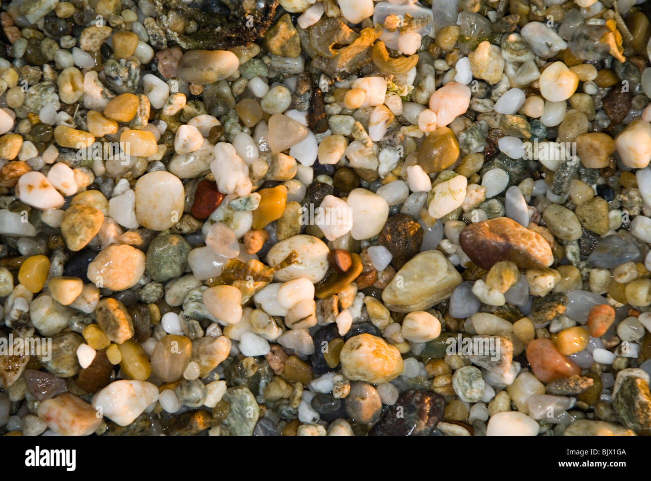 Coloured pebbles on a beach in Halkidiki Greece Stock Photo - Alamy