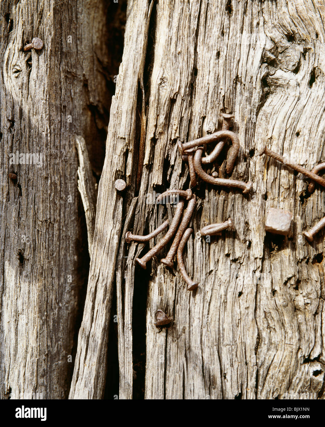 Bent on hi-res stock photography and images - Alamy