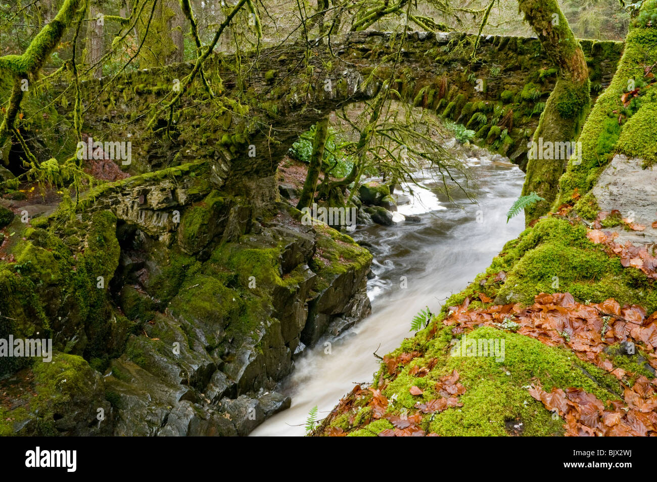 The Hermitage Bridge on the river Braan near Dunkeld Stock Photo - Alamy