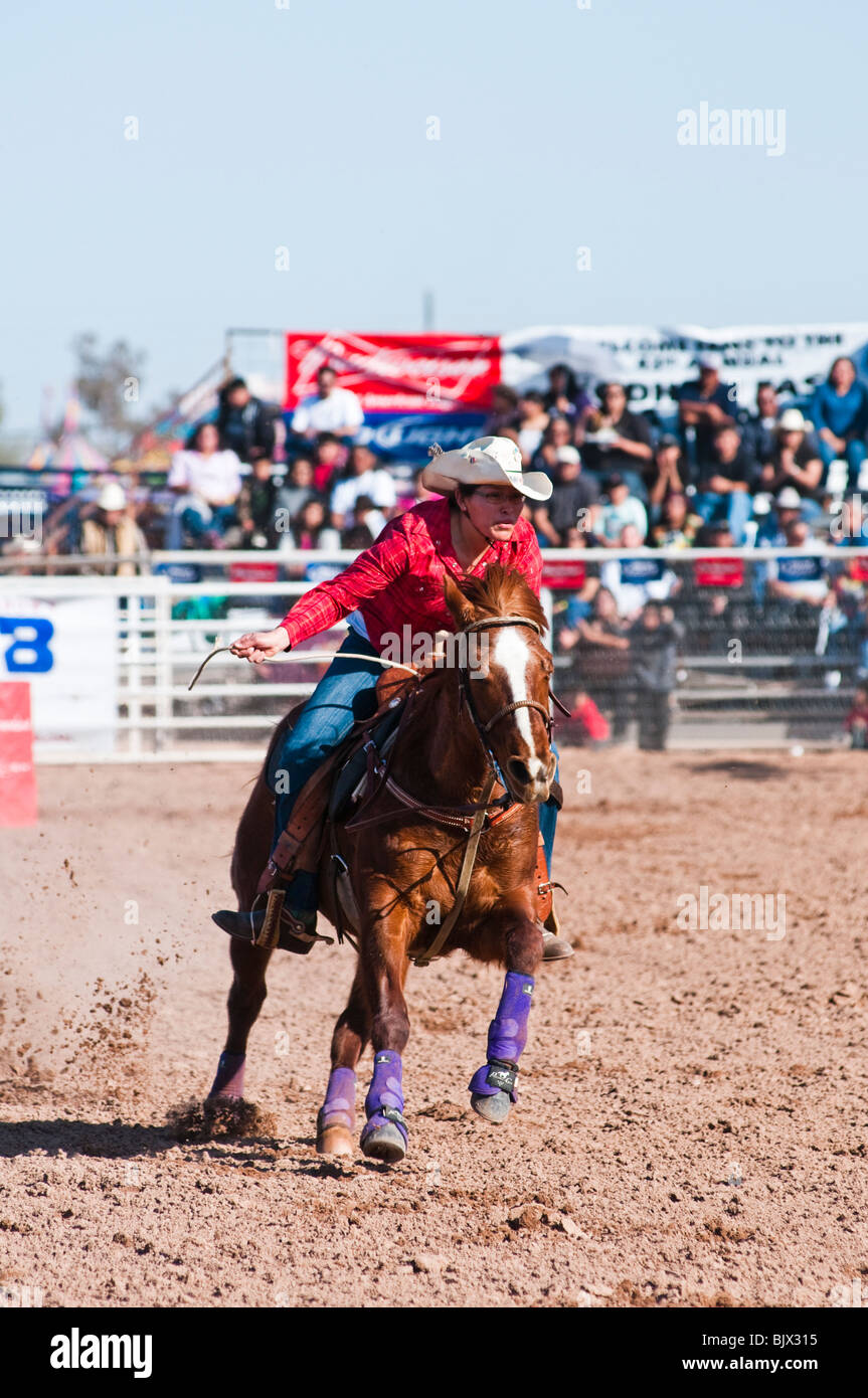 a cowgirl competes in the barrel racing event at a rodeo Stock Photo ...