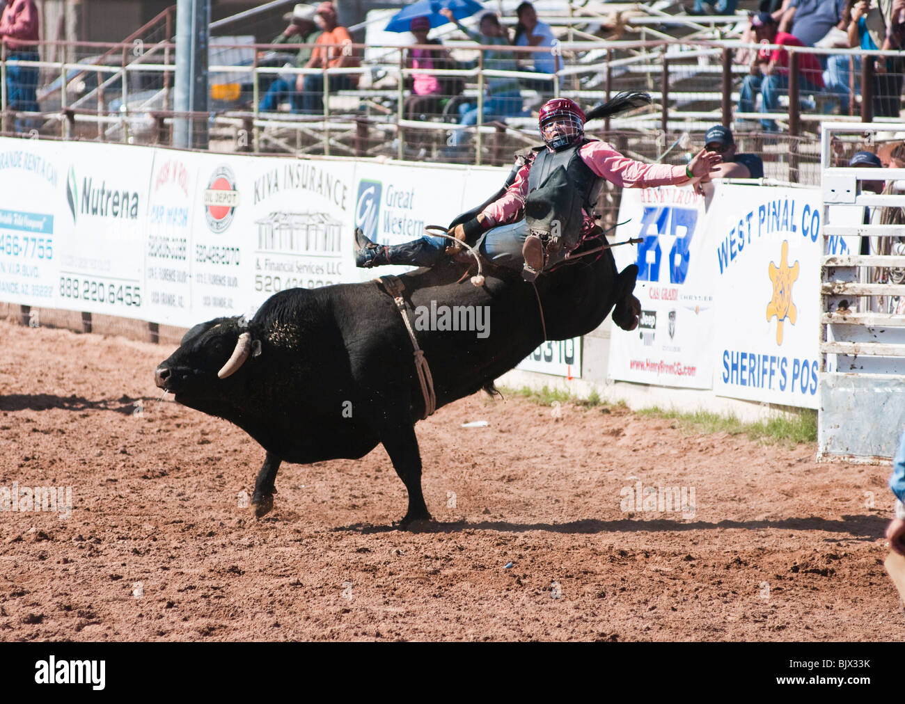 a cowboy competes in the bull riding event during the O'Odham Tash all ...