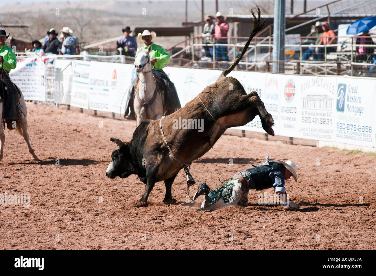 a cowboy competes in the bull riding event during the O'Odham Tash all ...
