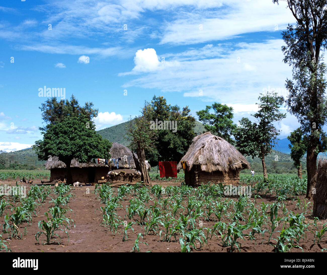 Traditional Tribal House Tanzania East Africa Stock Photo - Alamy