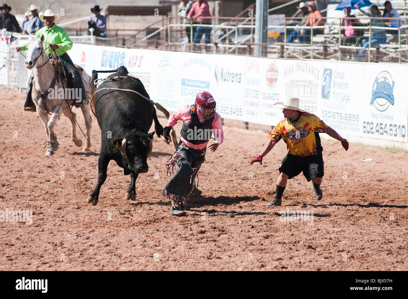 a cowboy competes in the bull riding event during the O'Odham Tash all ...