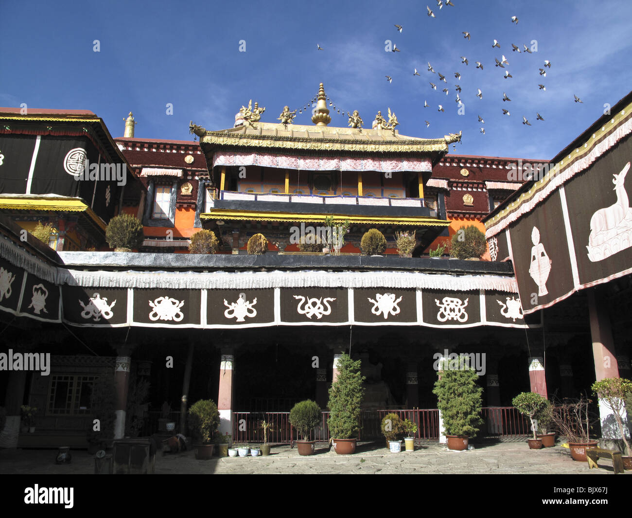 Jokhang monastery hi-res stock photography and images - Alamy
