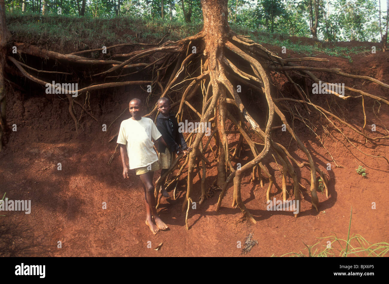 Soil degradation kenya hi-res stock photography and images - Alamy