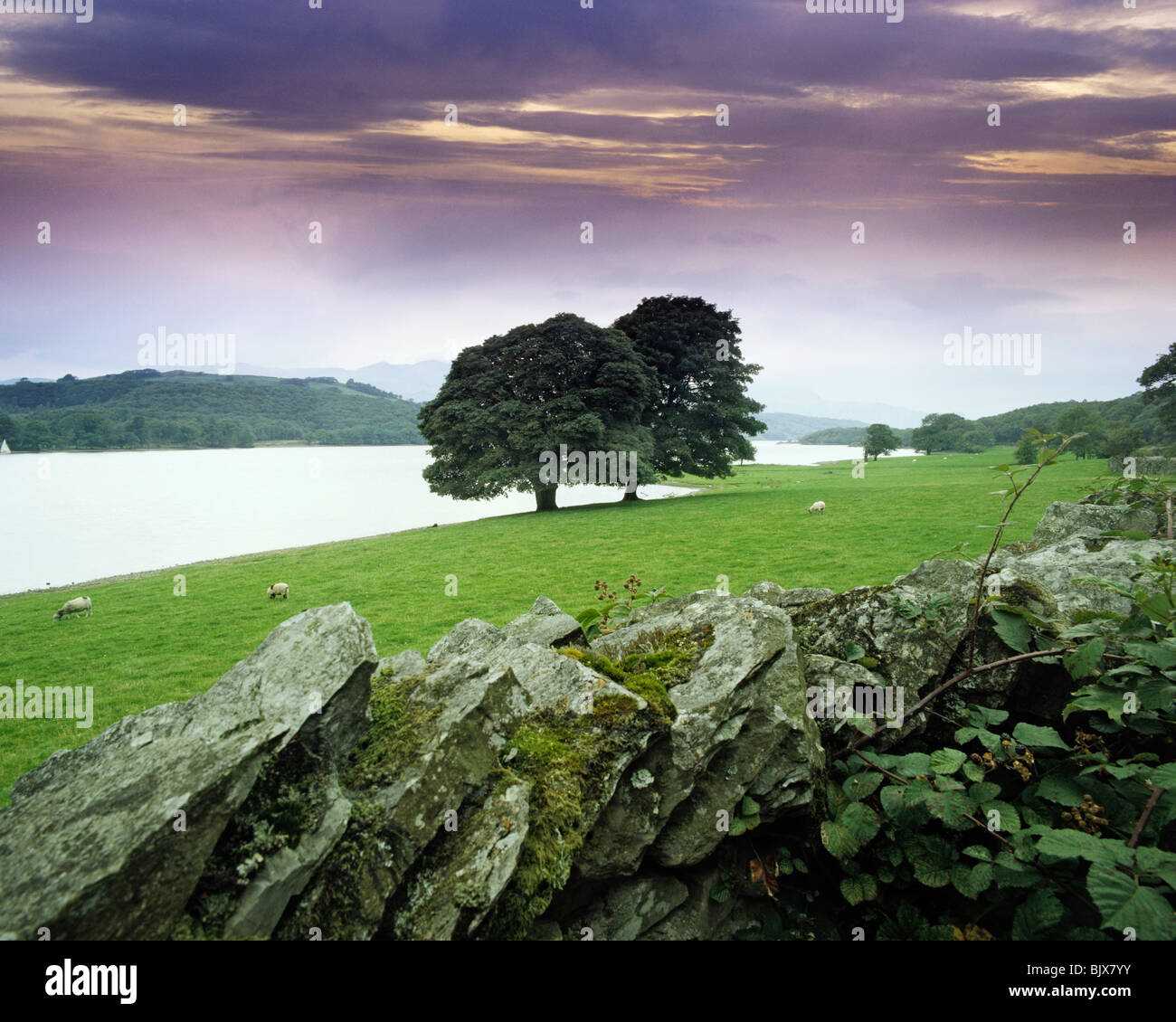 GB CUMBRIA THE LAKE DISTRICT CONISTON WATER Stock Photo - Alamy