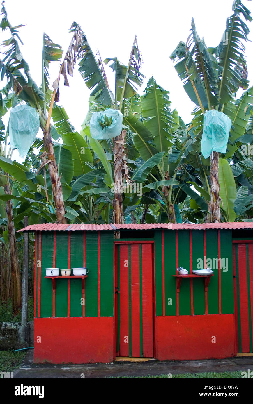 Historic coffee shack, Recuca Coffee, near Armenia, Colombia Stock ...