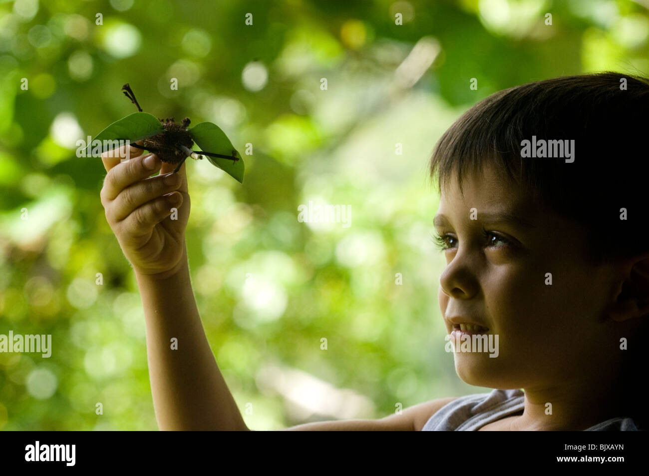 Child building a simple organic toy made from leaves Stock Photo - Alamy